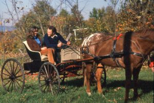 'Alexandra' (1983): The Sexploitation Gang Rides Again - The Rialto Report