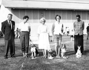 Ann Perry - From the Convent to Adult Films: Her Annotated Scrapbooks ...